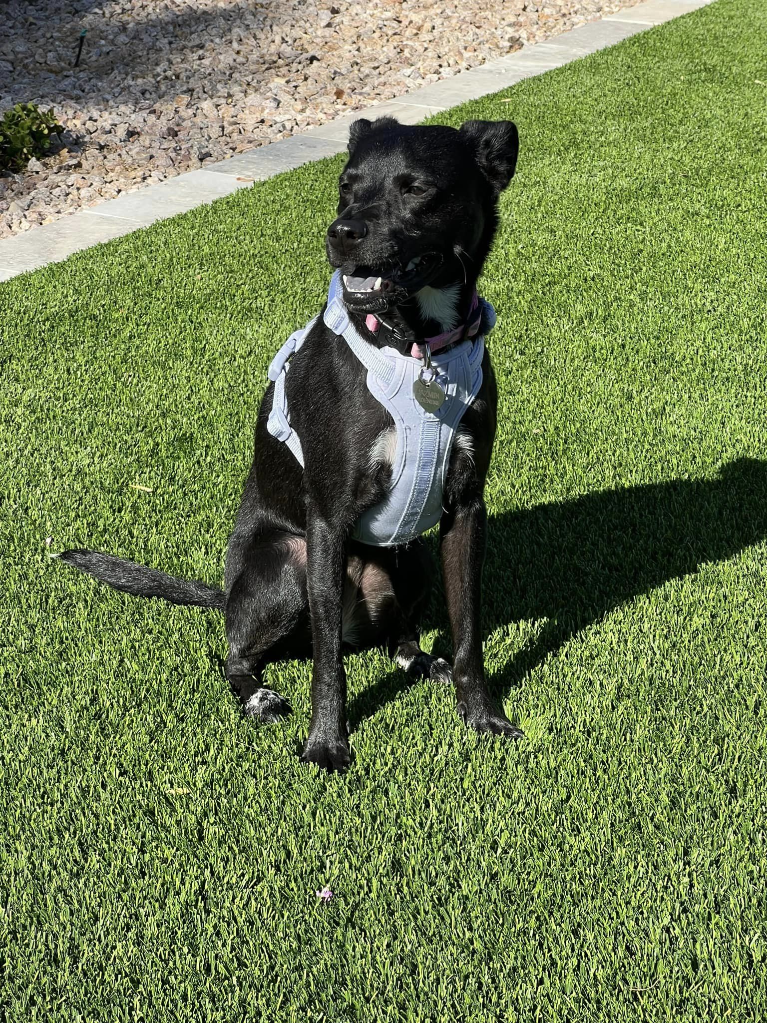 New Beginnings – Grace Notes